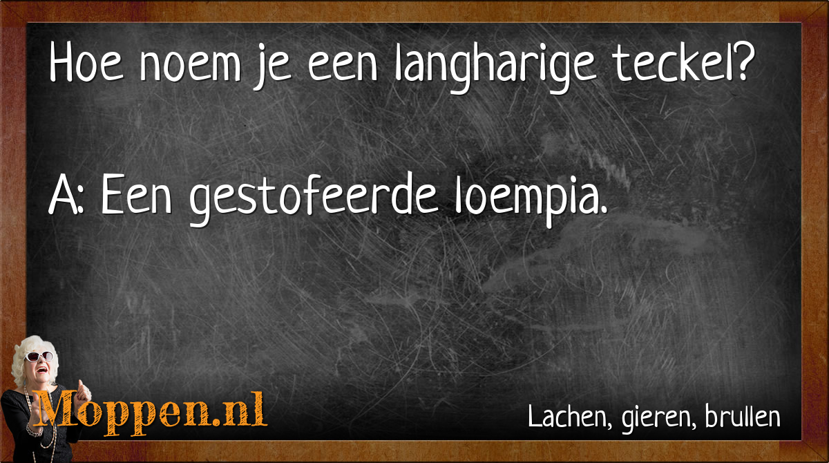 Moppen.nl - Mop: