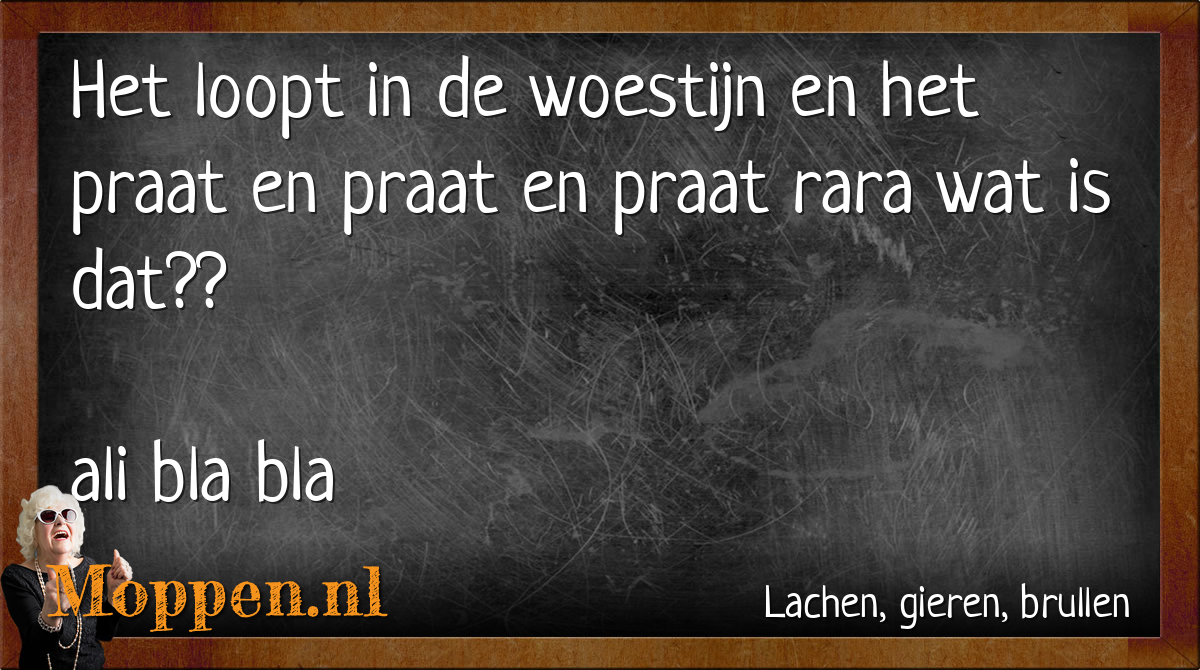 Moppen.nl - Mop: Kletskous