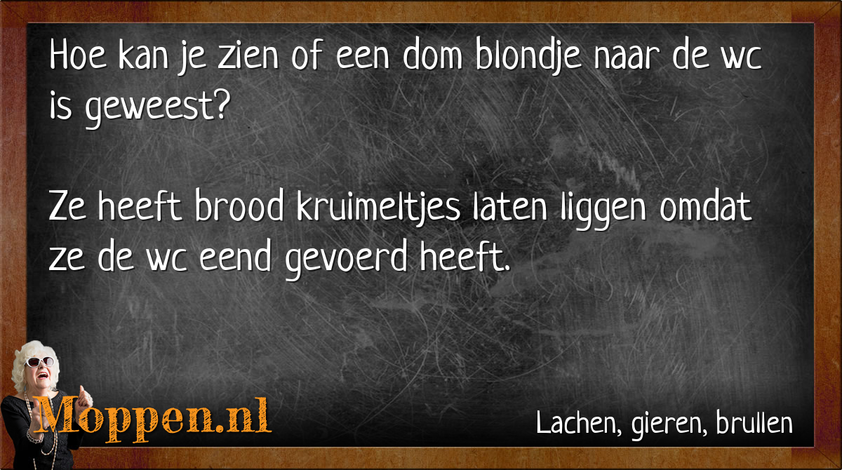 Moppen.nl - Mop: WC
