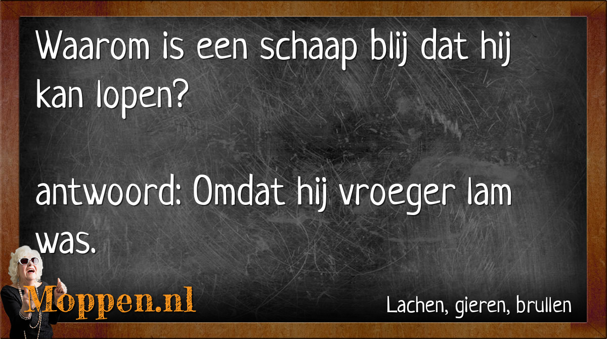 Moppen.nl - Mop: Het Schaap