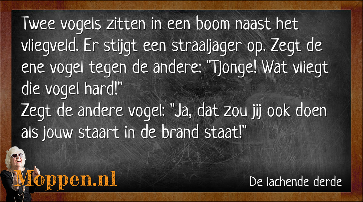 Moppen.nl - Mop: Vogels