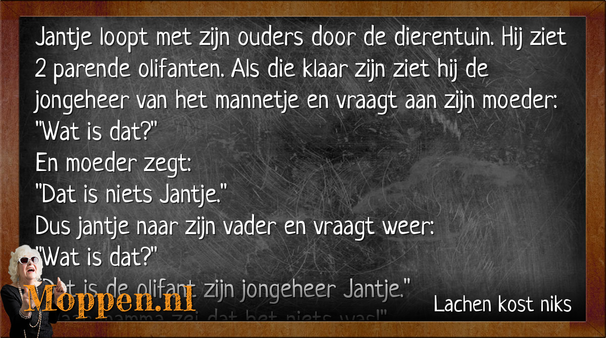 Moppen.nl - Mop: Leuke dierentuin