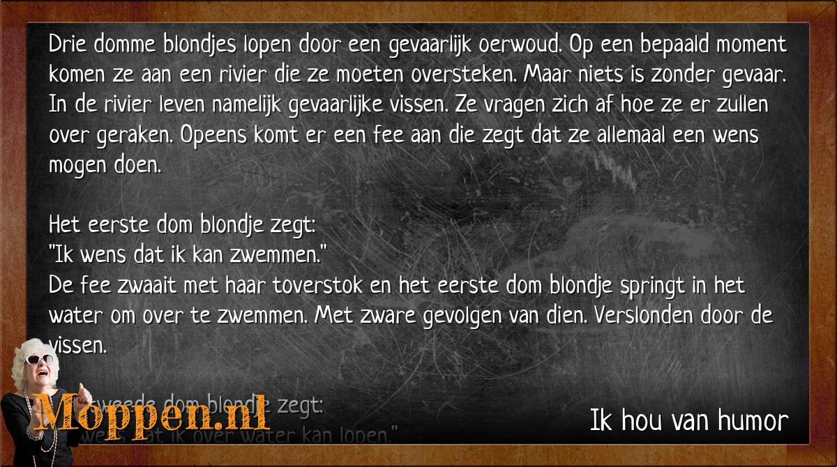 Moppen.nl - Mop: Oversteken