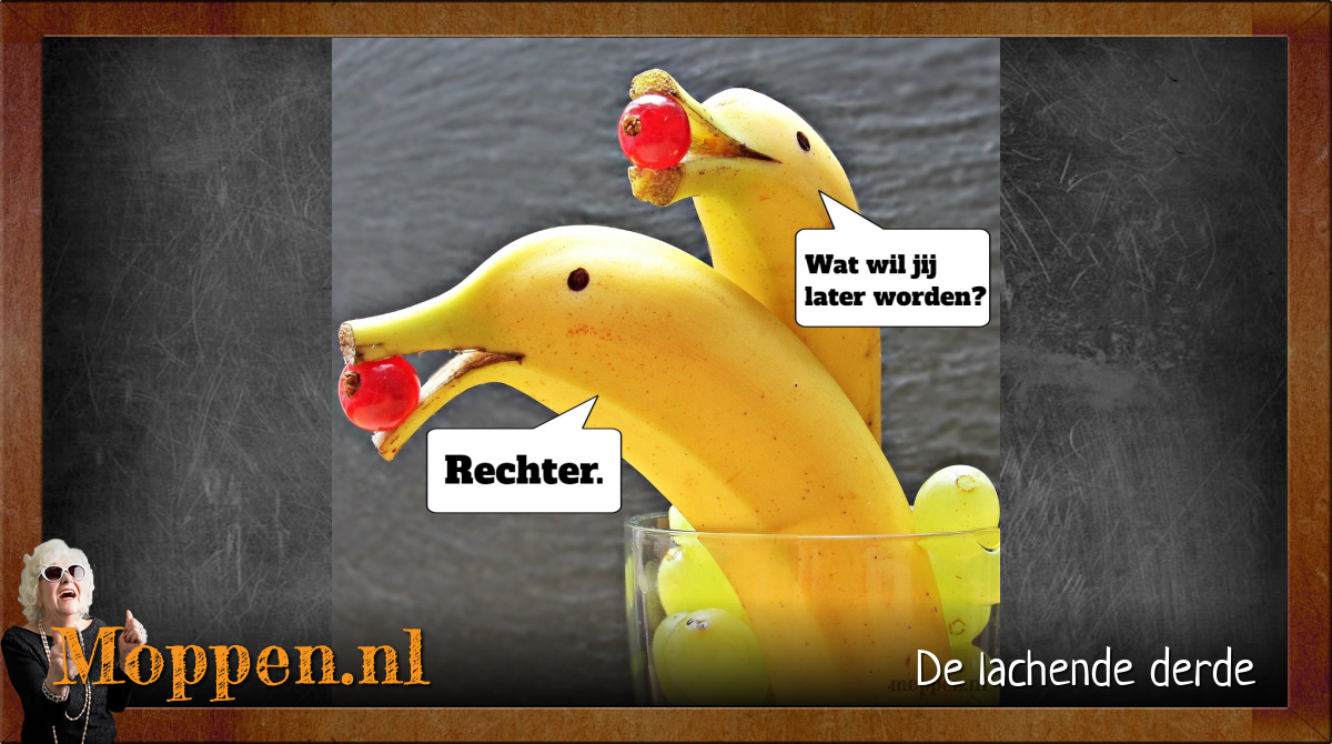 Moppen.nl - Mop: Rechter!