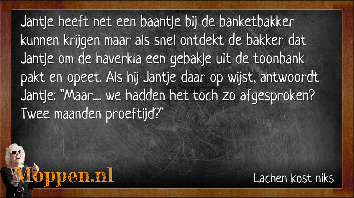 Moppen.nl - Mop: Proeftijd