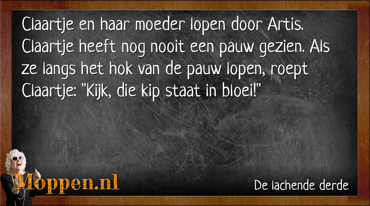 Moppen.nl - Mop: Pauw