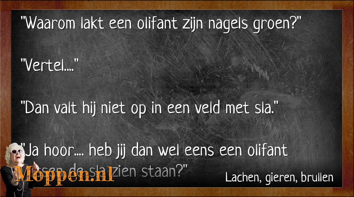 Moppen.nl - Mop: Camouflage